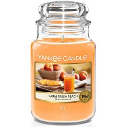 623g - Farm Fresh Peach - Housewarmer Duftkerze großes Glas - yankee candle