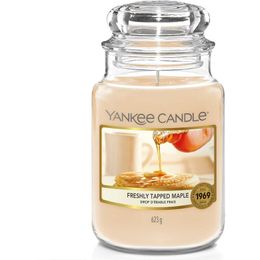 yankee candle - 623g - Freshly Tapped Maple - Housewarmer Duftkerze großes Glas