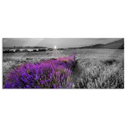 Pixxprint Glasbild Lavendelfeld in Frankreich