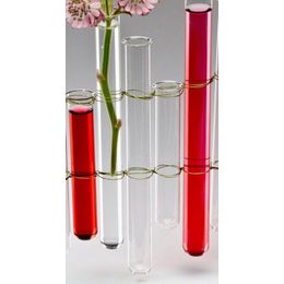 Sandra Rich Dekovase TEST TUBES