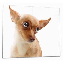 Wallario Herd-Abdeckplatte Lustiger Hund mit fliegenden Ohren