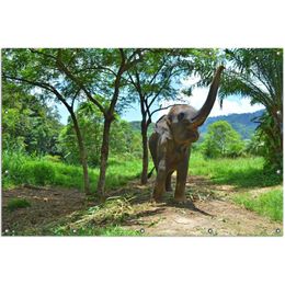 Wallario Sichtschutzzaunmatten Junger Elefant im Dschungel