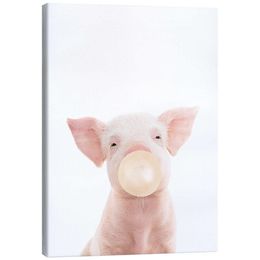 Posterlounge Wandbild, Schweinchen mit Kaugummi