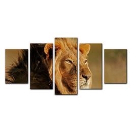 Bilderdepot24 Leinwandbild Afrikanischer Löwe