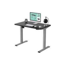FlexiSpot Schreibtisch Basic-Series