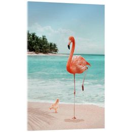 Posterlounge Wandbild, Möchtegern-Flamingo