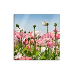 Pixxprint Glasbild Blumenwiese Mohnblumen