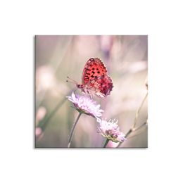Pixxprint Glasbild Bezaubernder Schmetterling