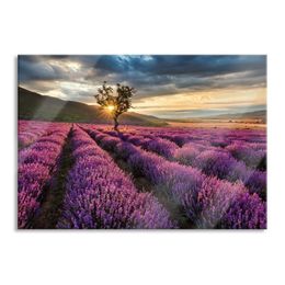 Pixxprint Glasbild Lavendel Provence mit Baum