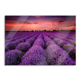 Pixxprint Glasbild Wunderschöne Lavendel Provence