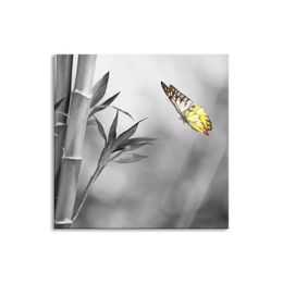 Pixxprint Glasbild schöner Schmetterling vor Bambus