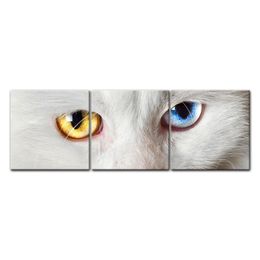 Bilderdepot24 Leinwandbild weiße Katze mit zwei Augenfarben