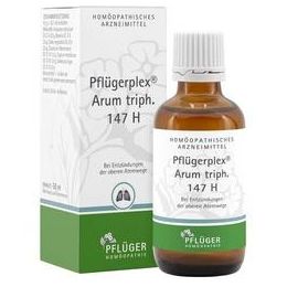 Pflüger® Pflügerplex Arum triph.147 H Tropfen 50 ml