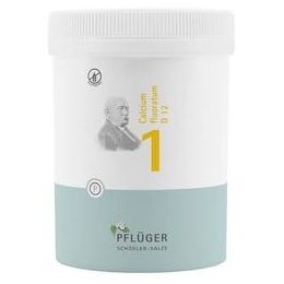 Pflüger® Biochemie Pflüger 1 Calcium fluoratum D 12 Tabl. 1000 St