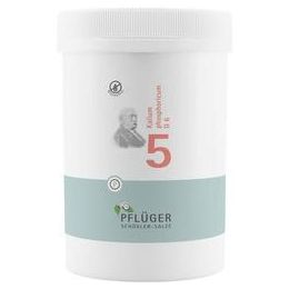 Pflüger® Biochemie Pflüger 5 Kalium phosphoricum D 6 Tabl. 4000 St