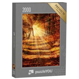 puzzleYOU Puzzle Sonnenstrahlen auf einem Waldweg