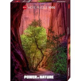 Heye Puzzle Singing Canyon / Power of Nature, 1000 Puzzleteile, Made in Germany, bunt