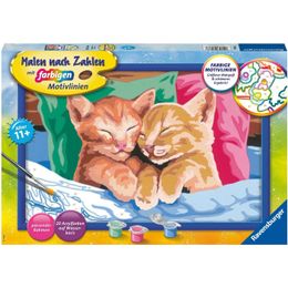 Ravensburger Malen nach Zahlen Verschmuste Kätzchen, Made in Europe; FSC® - schützt Wald - weltweit, bunt