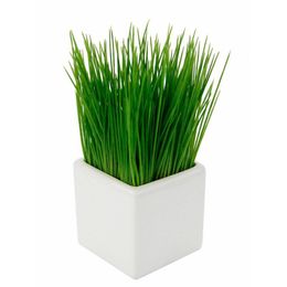 Kunstpflanze Gras Gras, I.GE.A., Höhe 22 cm, grün