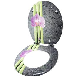 Sanilo WC-Sitz Asia, mit Absenkautomatik, grau|grün|rosa