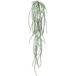 Winterliche Kunstpflanze Weihnachtsdeko Araucaria, Creativ green, Höhe 93 cm, Hängezweig, grün