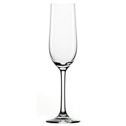 Stölzle Sektglas CLASSIC long life, Kristallglas, 6-teilig, weiß
