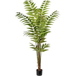 Künstliche Zimmerpflanze Lederfarnpflanze Farn, Creativ green, Höhe 180 cm, grün
