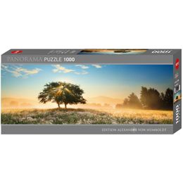 Heye Puzzle Play of Light, Edition Humboldt, 1000 Puzzleteile, Made in Europe, bunt