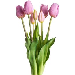 Kunstpflanze Maiva Tulpe, my home, Höhe 47 cm, Tulpenbündel im 7er-Set, lila