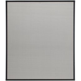 Hecht international Insektenschutz-Fensterrahmen BASIC, anthrazit/anthrazit, BxH: 130x150 cm, grau