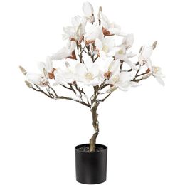 Winterliche Kunstpflanze Weihnachtsdeko Magnolie, Creativ green, Höhe 58 cm, Baum mit beschneiter Optik, weiß