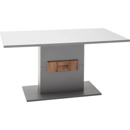 MCA furniture Esstisch Zadar, Arktis Grau, Tisch 160 cm breit FSC Zertifiziert, grau