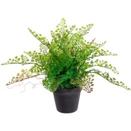 Künstliche Zimmerpflanze Adianthumfarn Farn, Creativ green, Höhe 40 cm, grün