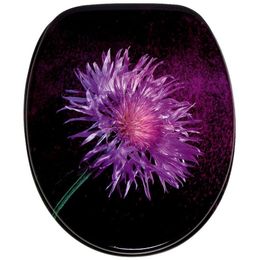Sanilo WC-Sitz Purple Dust, mit Absenkautomatik, lila