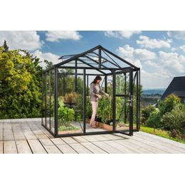 Vitavia Gewächshaus Zeus 6200, BxTxH: 258,4 x 242 x 250,4 cm, 3 mm Wandstärke, Alu-Profile, 3 mm Sicherheitsglas, Dach 10 mm Hohlkammerplatten, schwarz