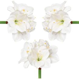 Winterliche Kunstpflanze Weihnachtsdeko Amaryllis, Creativ deco, Höhe 56 cm, üppige Blütenpracht, 3er-Set, weiß