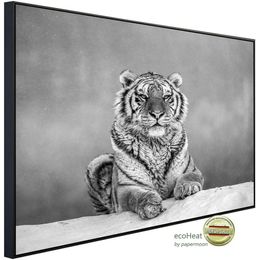 papermoon Infrarotheizung Tiger Portrait Schwarz & Weiß, sehr angenehme Strahlungswärme, bunt
