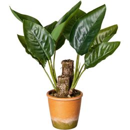 Künstliche Zimmerpflanze Blattpflanze Canna, Creativ green, Höhe 45 cm, im Paperpot, grün
