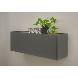 Inosign Aktenschrank CiTY/GiRON Hängeschrank zeitlos modern, wohnliches Home Office, Breite 100 cm, grau