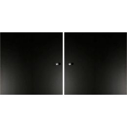 Hammel Furniture Türfront Mistral Kubus 065, Tür passend zur Sideboard & Bücherregal (2 St), (2 St), als Ergänzung für Korpus 025, 026, 116 und 117, Breite: 32 cm, schwarz