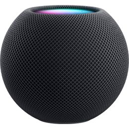 Apple HomePod mini Lautsprecher (Bluetooth, WLAN (WiFi), grau