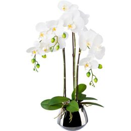 Kunstorchidee Phalaenopsis im Silbertopf Orchidee Phalaenopsis, Creativ green, Höhe 55 cm, mit Real-Touch-Blüten, weiß