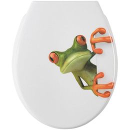 ADOB WC-Sitz Frosch, Absenkautomatik, zur Reinigung abnehmbar, grau|weiß