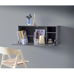 Hammel Furniture Schreibtisch Mistral Bürotisch, Arbeitstisch, Tisch, Computertisch, mit Klappe, Computertisch, Homeoffice, B: 89 cm, Designmöbel, grau