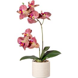 Kunstorchidee Orchidee Phalaenopsis in Keramiktopf Orchidee Phalaenopsis, Creativ green, Höhe 45 cm, mit Real-Touch-Blüten, grün|lila
