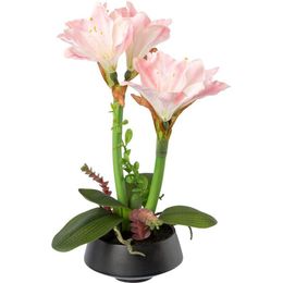 Winterliche Kunstpflanze Weihnachtsdeko Amaryllis, Creativ green, Höhe 43 cm, üppige Blütenpracht im Keramiktopf, rosa