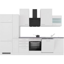 Flex-Well Küche Neo, wahlweise mit E-Geräten, Gesamtbreite 310 cm, grau|weiß