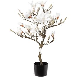 Winterliche Kunstpflanze Weihnachtsdeko Magnolie, Creativ green, Höhe 87 cm, Baum mit beschneiter Optik, weiß