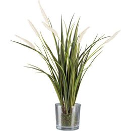 Kunstgras Grasbusch Miscanthus im Erdballen mit Glas Gras, Creativ green, Höhe 63 cm, beige