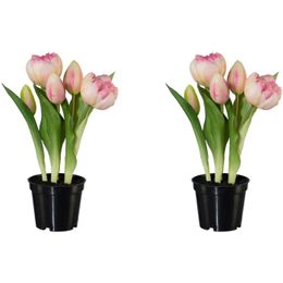 Kunsttulpe Gefüllte Tulpen Tulpe, my home, Höhe 25 cm, rosa